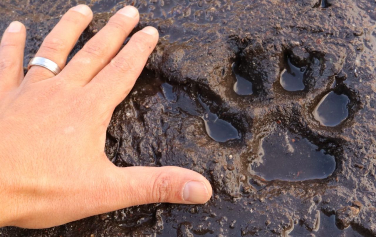 New Small Town Monsters Documentary 'American Werewolves' Is Out Today ...