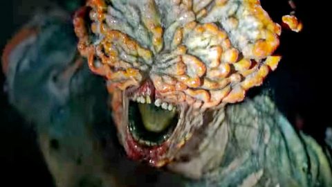 The Zombies In HBO's "Last Of Us" Are Based On Something Real ...