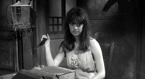 'Spider Baby' Remake Starring Original Actress Wraps Filming ...