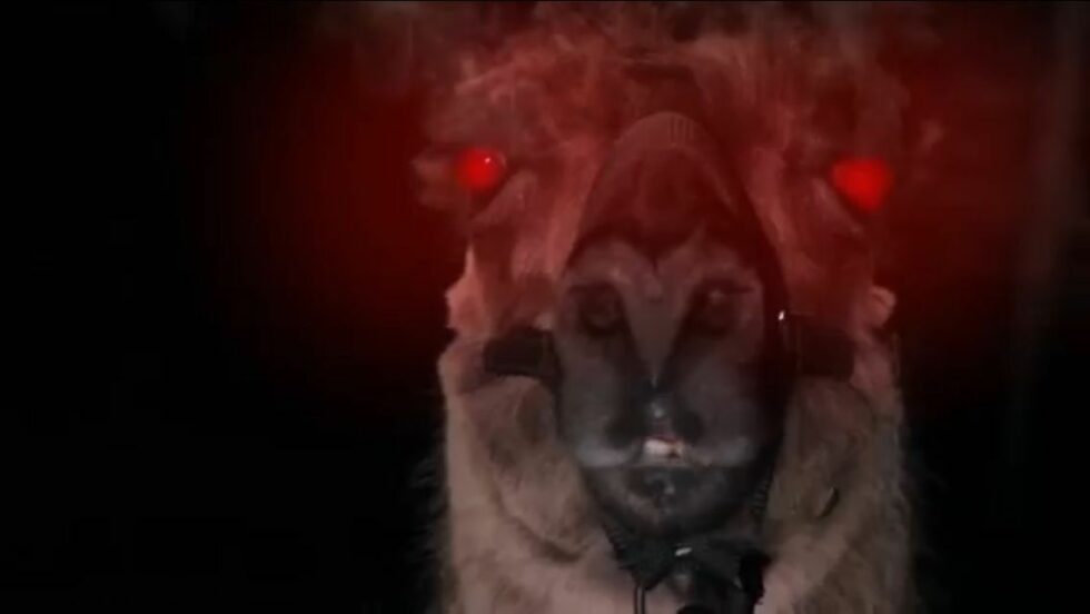 From The Creators Of Llamageddon Comes 'Alpacalypse' - HorrorFuel.com ...