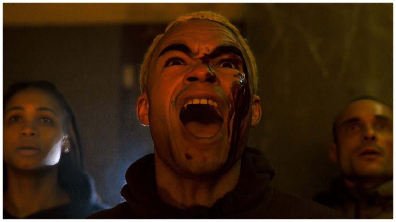 Spoiler-Free Film Review: “Infested” (Boston Underground Film Festival ...