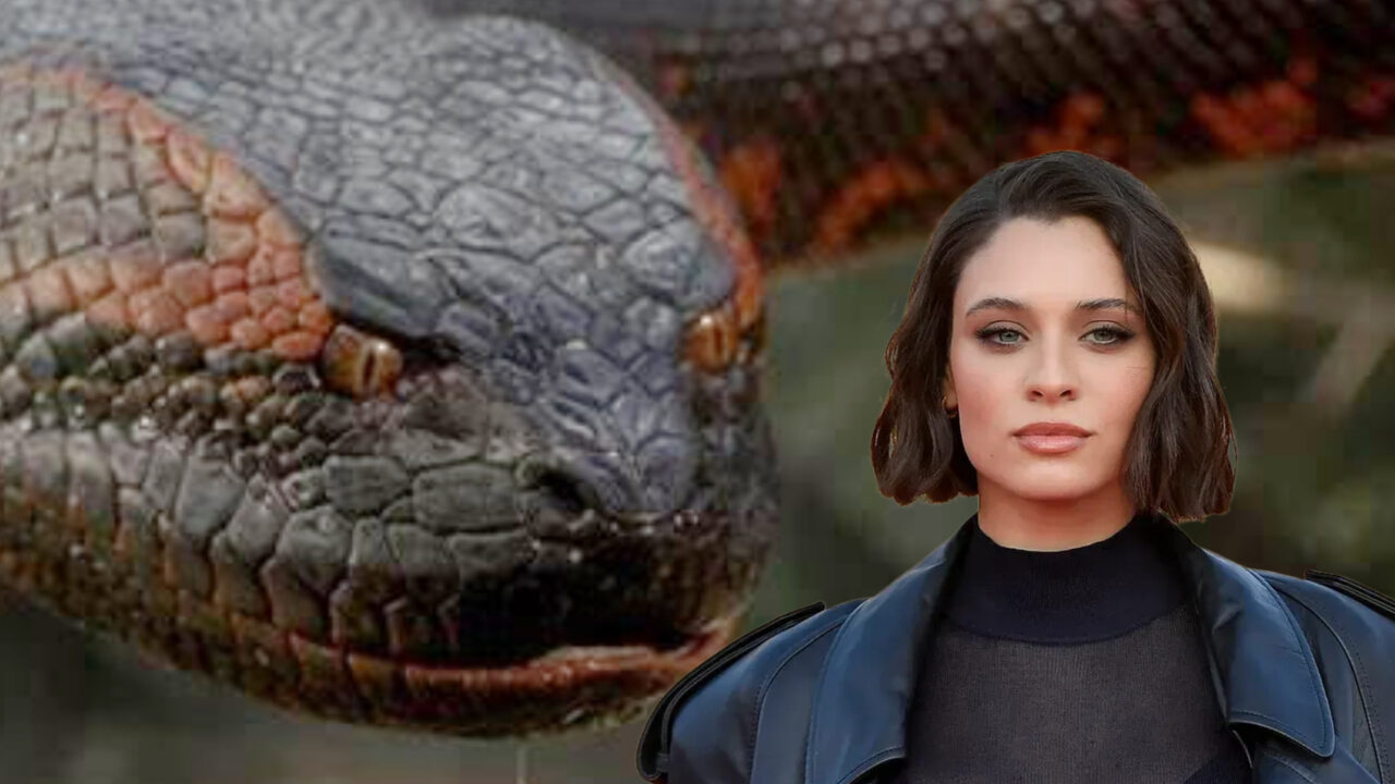 Paul Rudd and Jack Black's 'Anaconda' Reveals New Cast Members ...