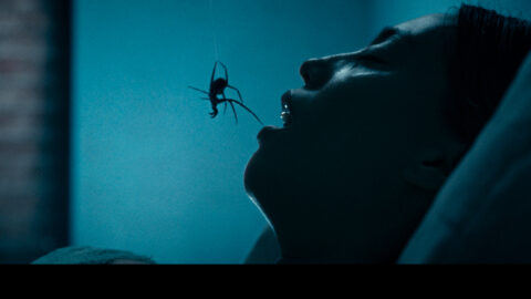Roadside Attractions and Saban Catch the Spider Horror 'Crawlers' in ...